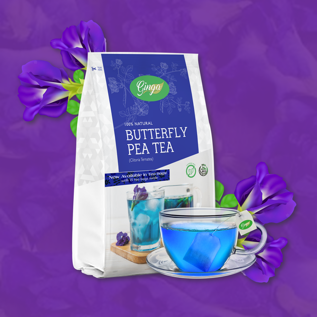 Ginga Agrifood Mfg. Ent., Inc. – Ginga Food