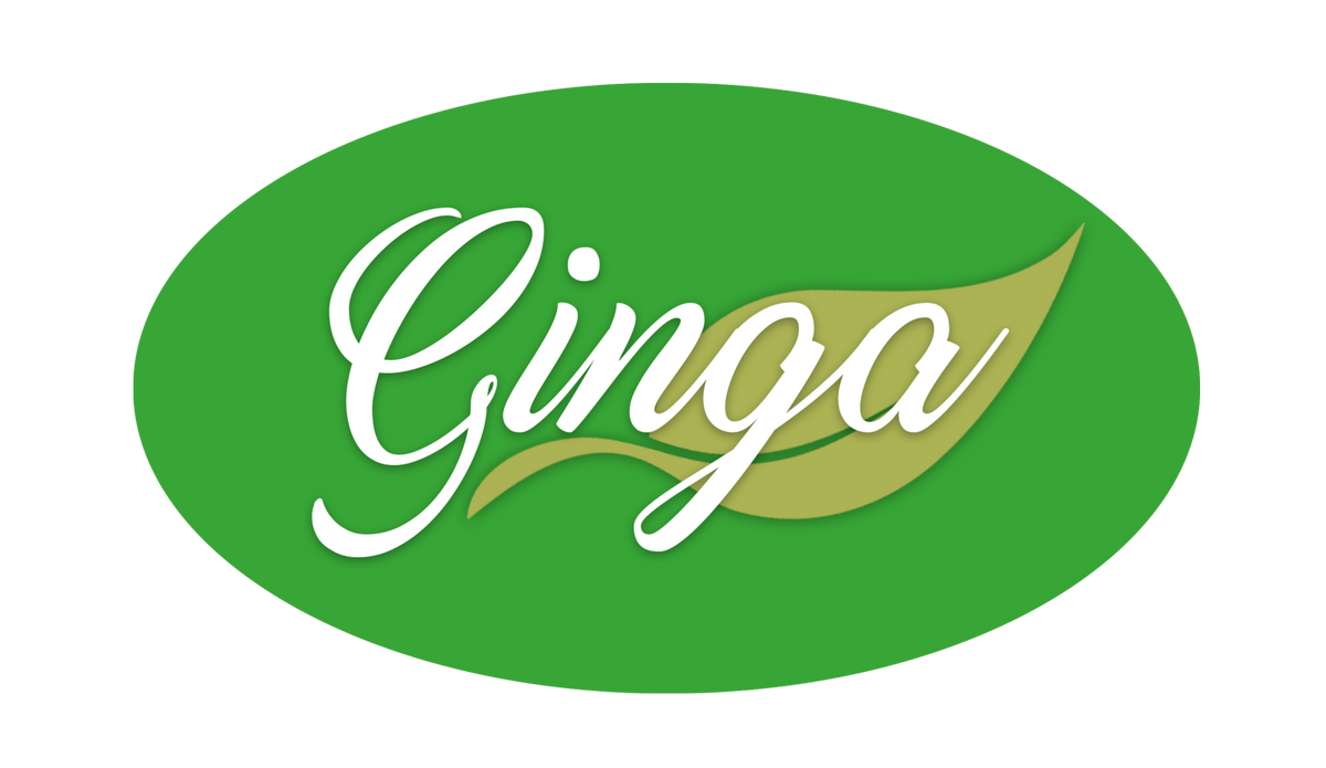 THIS IS OUR GINGA STORY – Ginga Food